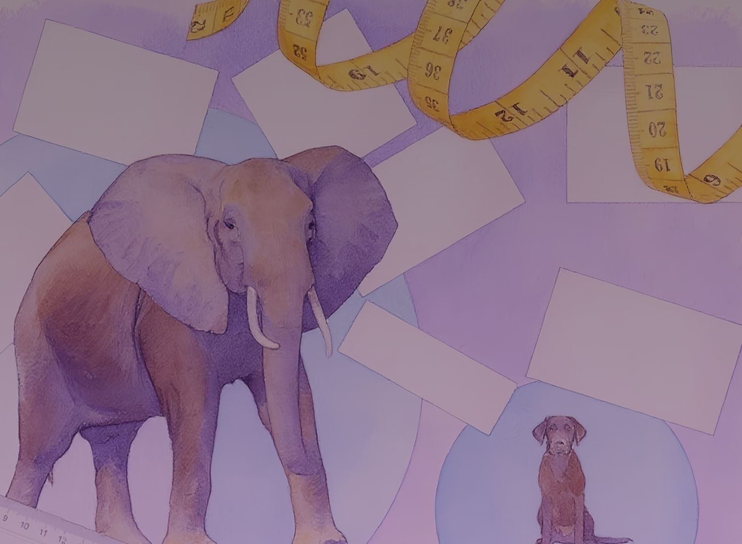 When Size Really Matters (In Business Cards) - Cards by Creativemotions